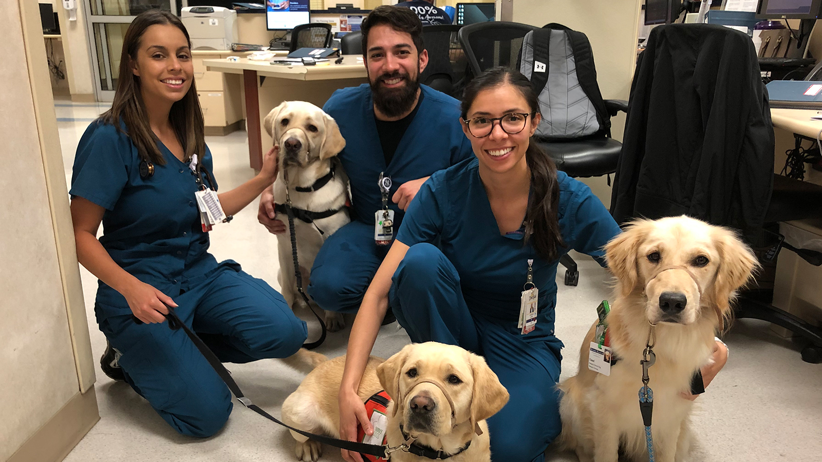 How Yellow Lab Therapy Dogs Are Helping First Responders to El Paso ...