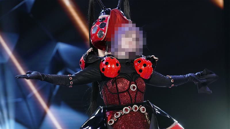 'The Masked Singer' Ladybug Revealed To Be Daughter Of This Music ...