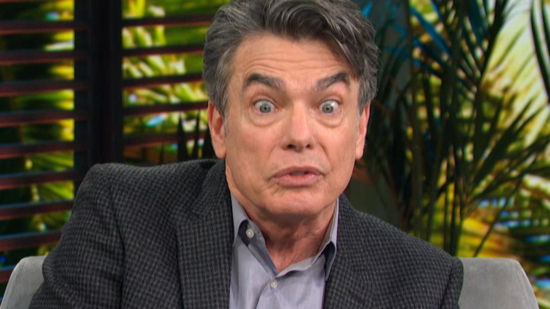 Peter Gallagher Reveals He Based 'American Beauty' Character After ...