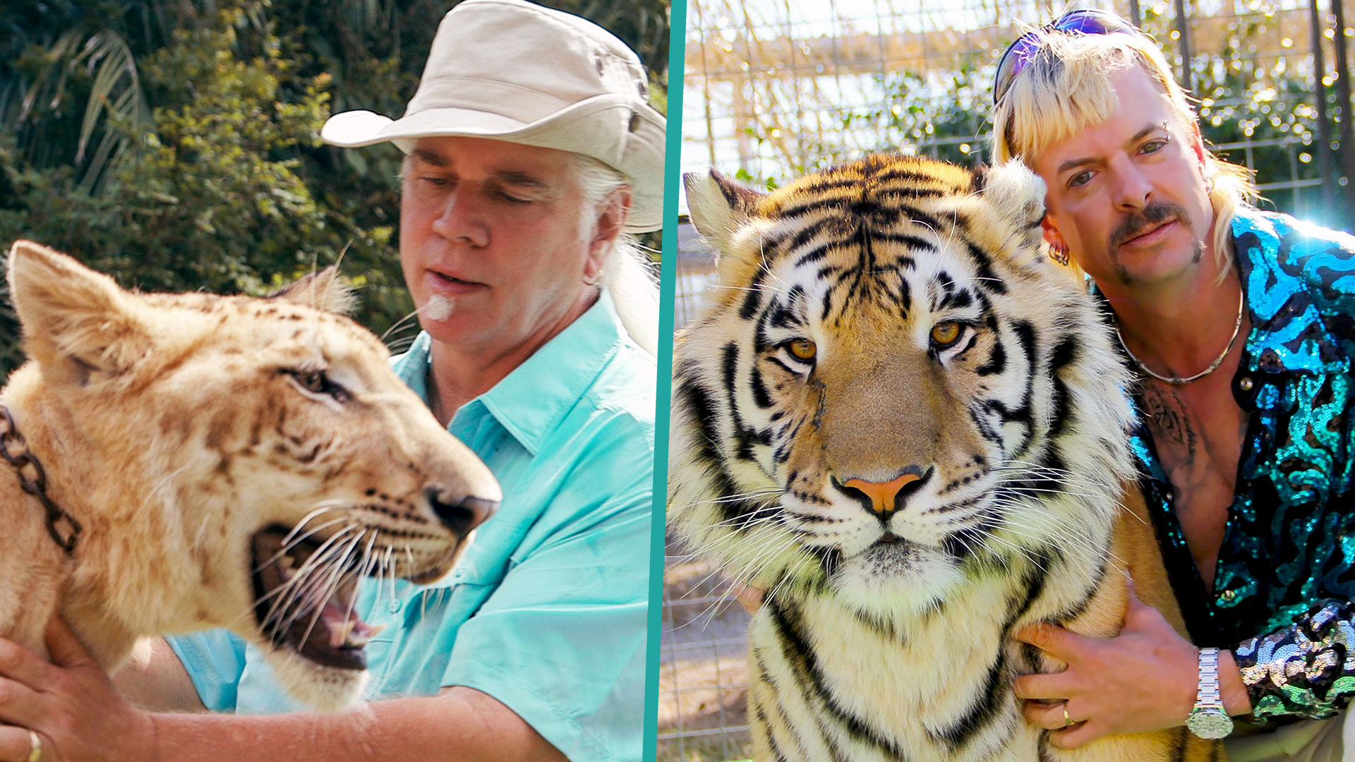 Surprising 'Tiger King' Facts: Celebrity Connections, Casting Talk ...