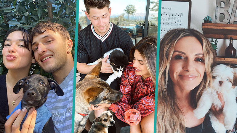 Puppy Love: Celebs Who Brought Home Pets In Quarantine | Access