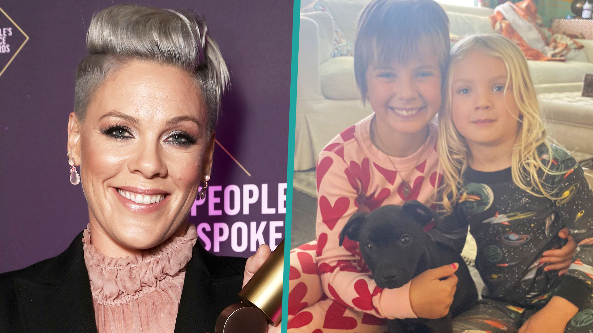 Pink's Kids Willow & Jameson Cuddle With New Rescue Dog Habañero: 'Our ...