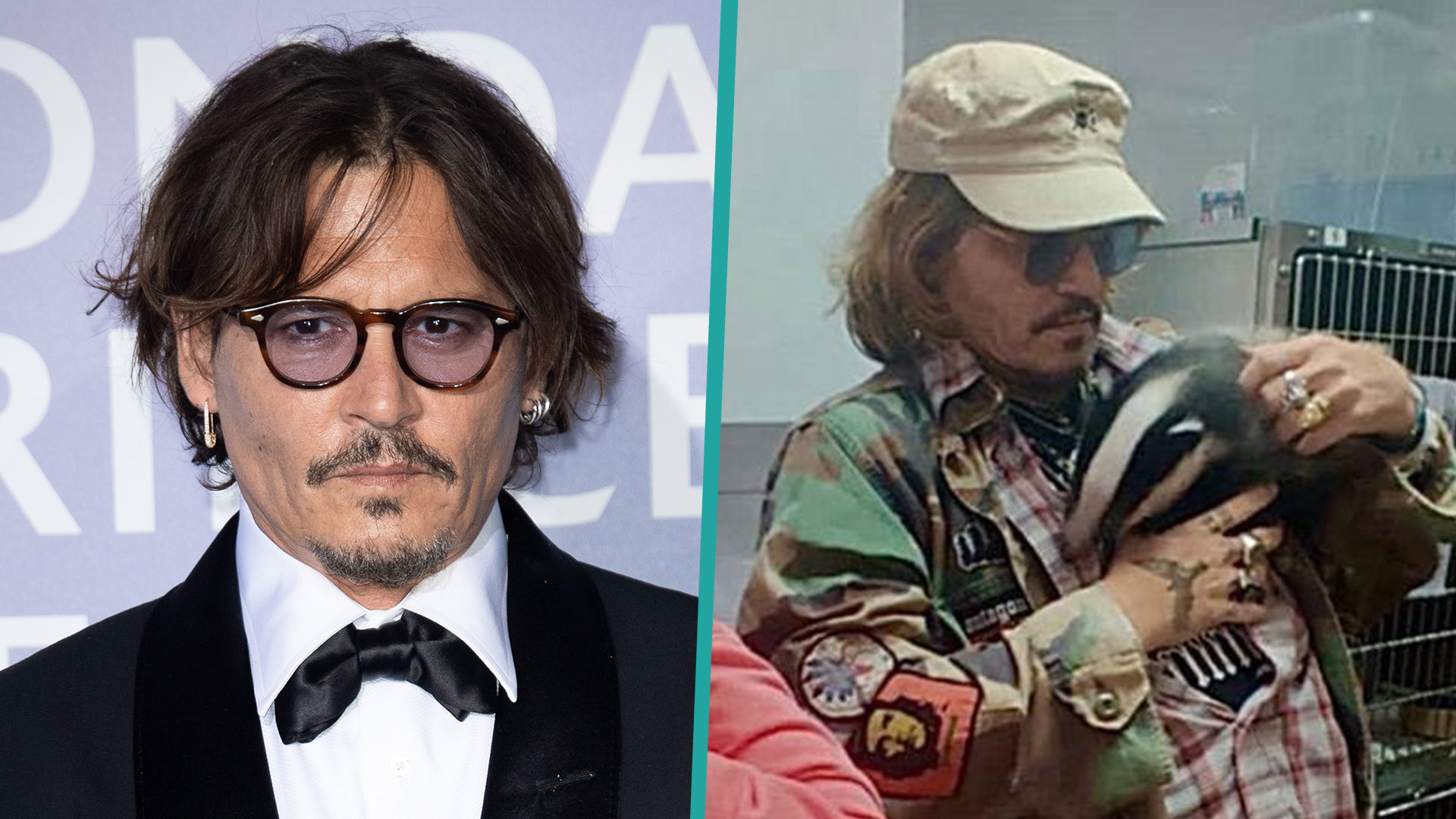 Johnny Depp Cuddles Badger In Photo Posted By Wildlife Rescue After ...