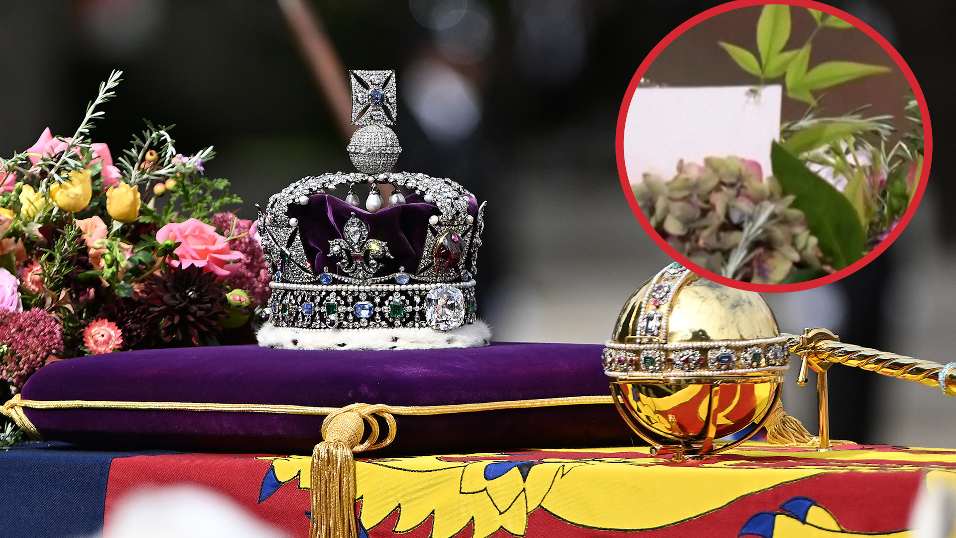 Spider Spotted Crawling On Queen Elizabeth's Coffin At Funeral | Access