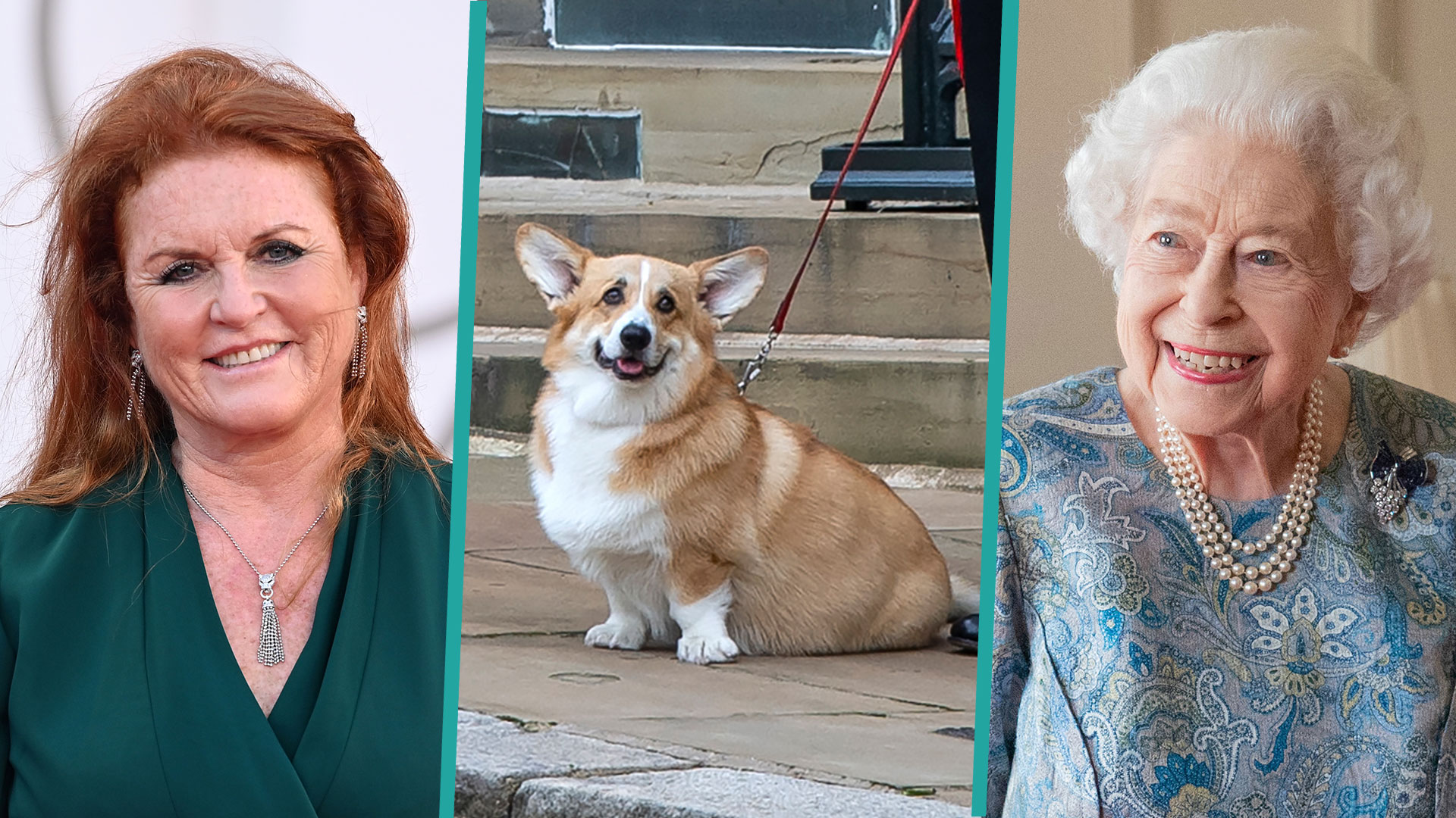 Sarah Ferguson Shares Update On Queen Elizabeth's Corgis: It's 'A Big ...