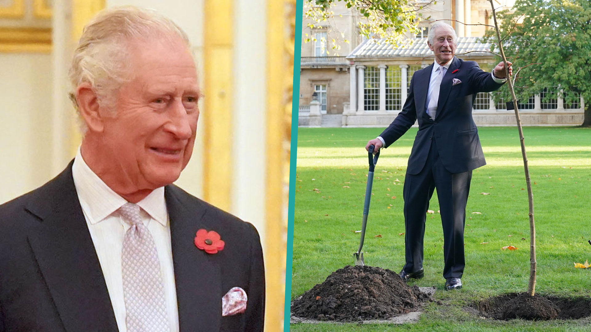 King Charles Plants Tree In Buckingham Palace Garden For Cause In Honor ...