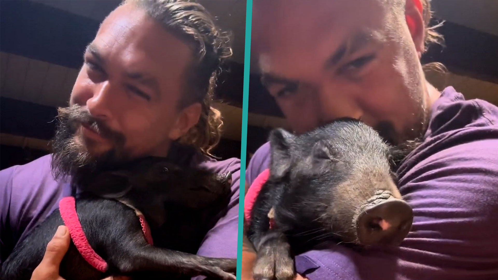 Jason Momoa Adopts Pig After Filming 'Slumberland': 'Wild And Feral ...