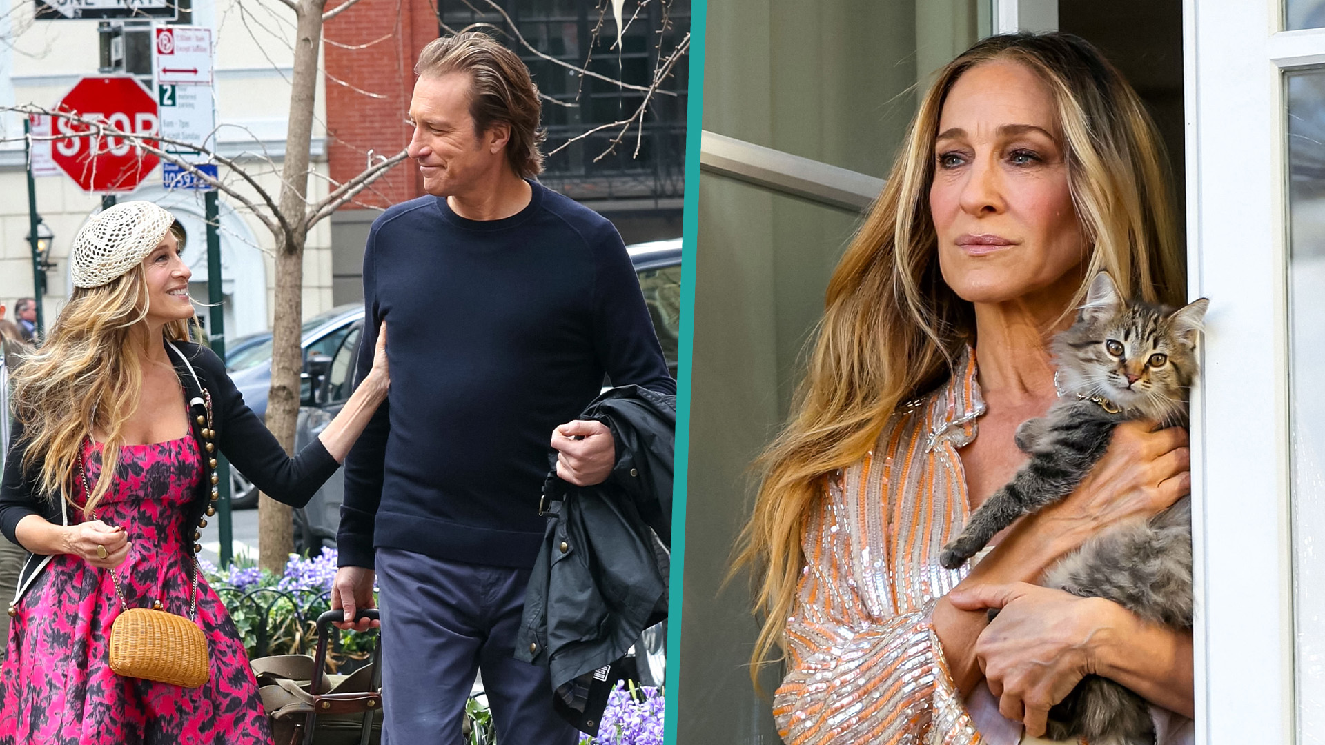 Sarah Jessica Parker Spotted Holding A Cat & Laughing With John Corbett ...