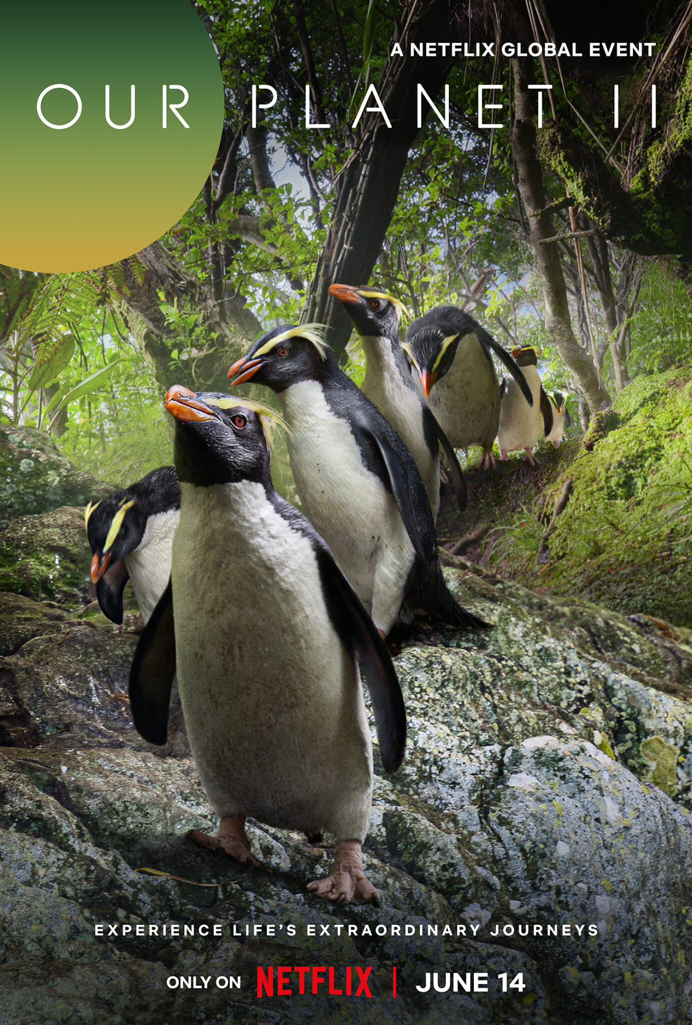 'Our Planet II': First Look At Netflix's Jaw-Dropping Nature Docuseries ...