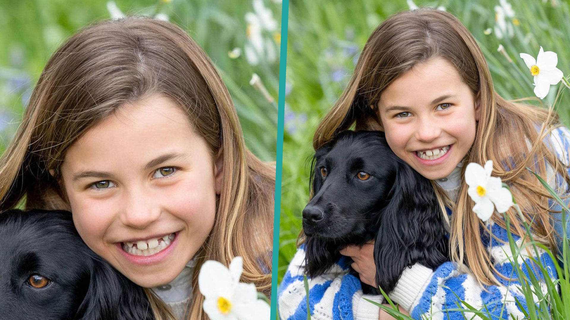 Princess Charlotte Looks So Grown Up Hugging Royal Dog Orla In 8th ...