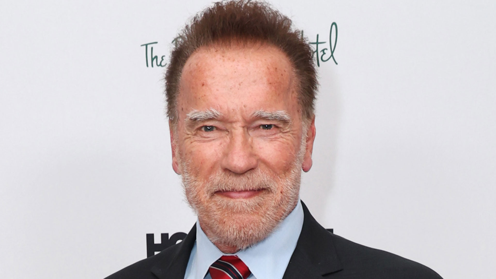 Arnold Schwarzenegger Honored By Holocaust Museum For Fighting Hate ...