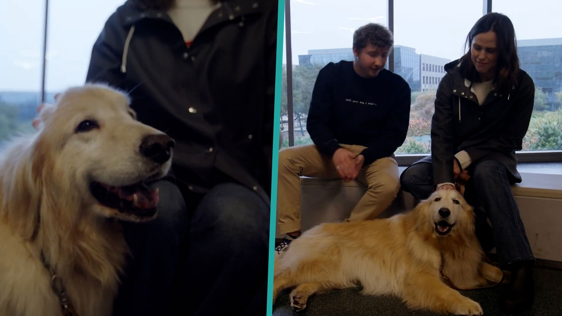 Jennifer Garner's Dog Birdie Promoted To LA Children's Hospital Therapy ...