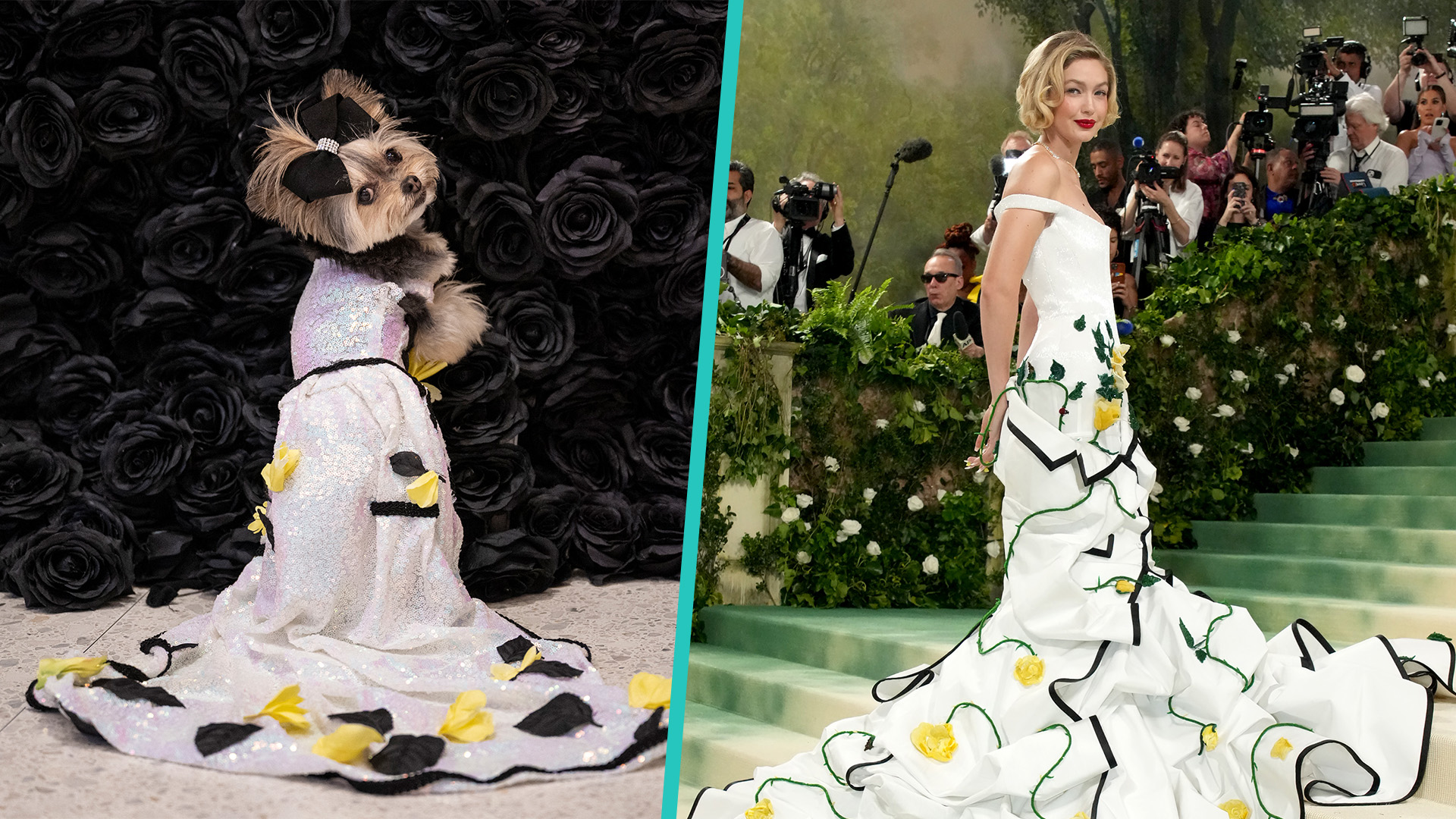 Dogs Wear Recreated Met Gala Looks From Gigi Hadid, Bad Bunny & More In ...