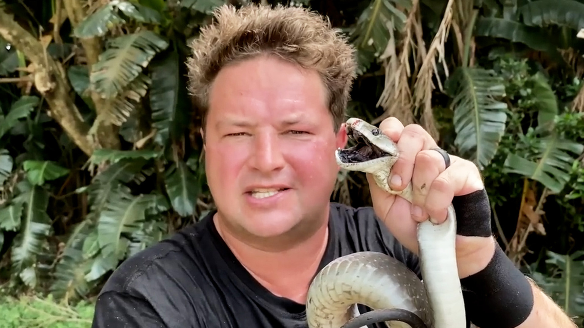 Dingo Dinkelman, YouTuber Known As South Africa's Steve Irwin, Dies ...