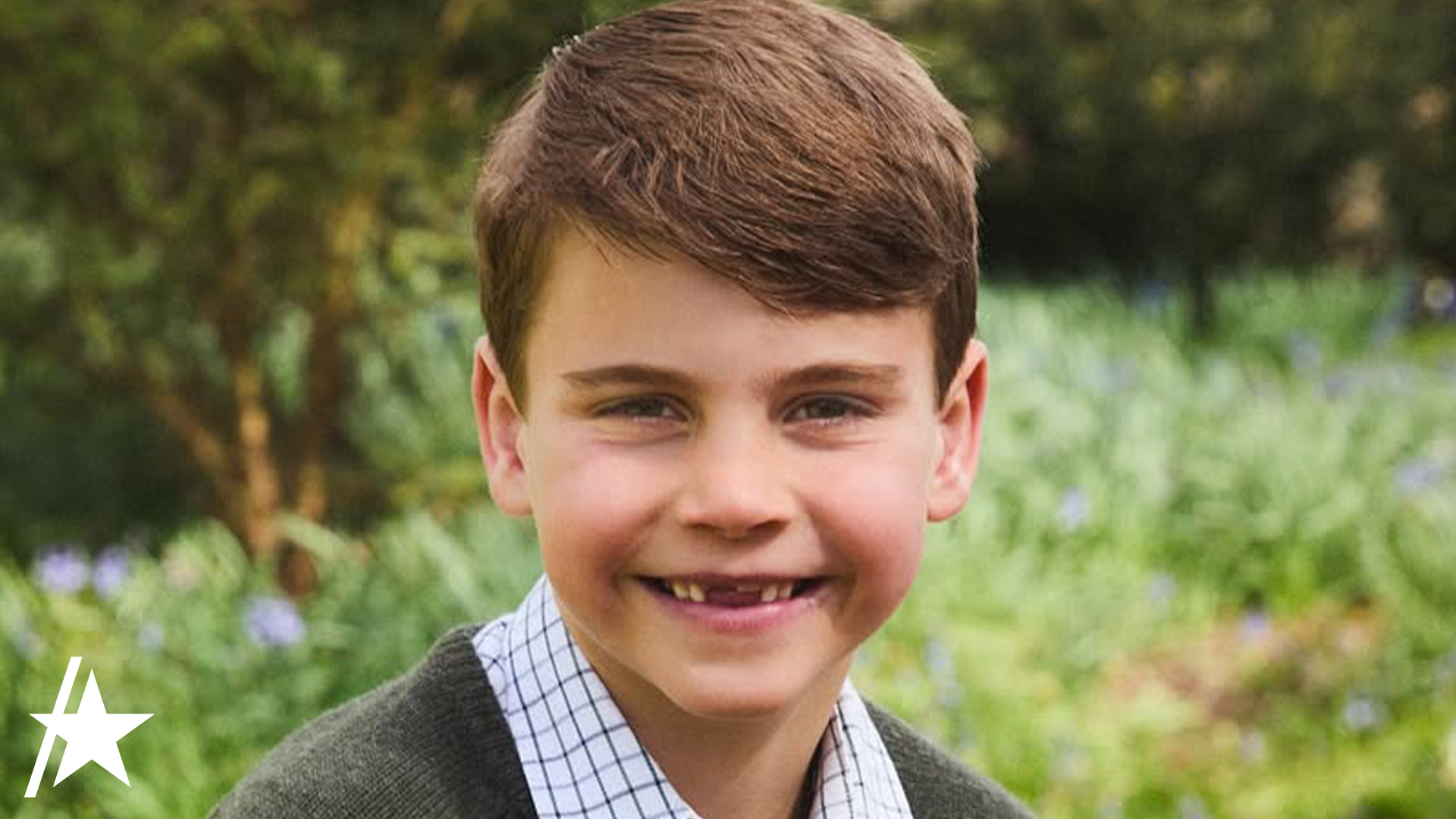 Prince Louis Flashes Toothless Smile in 7th Birthday Portrait | Access